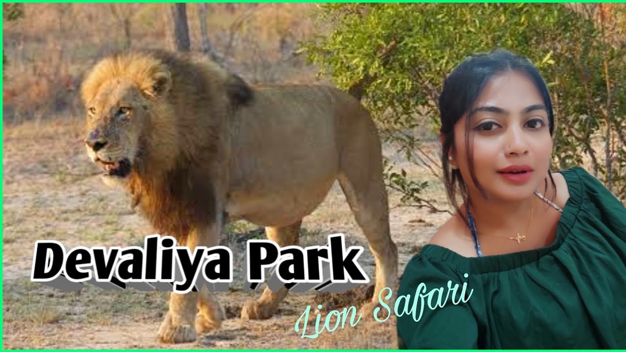 Devaliya Park Bus Safari | Sasan Gir Station | Devaliya Safari Park ...