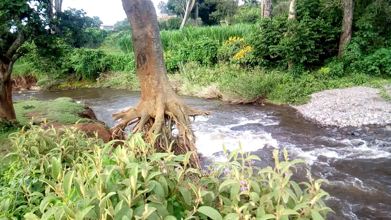 MT. Kenya river beautiful scenery - YouTube