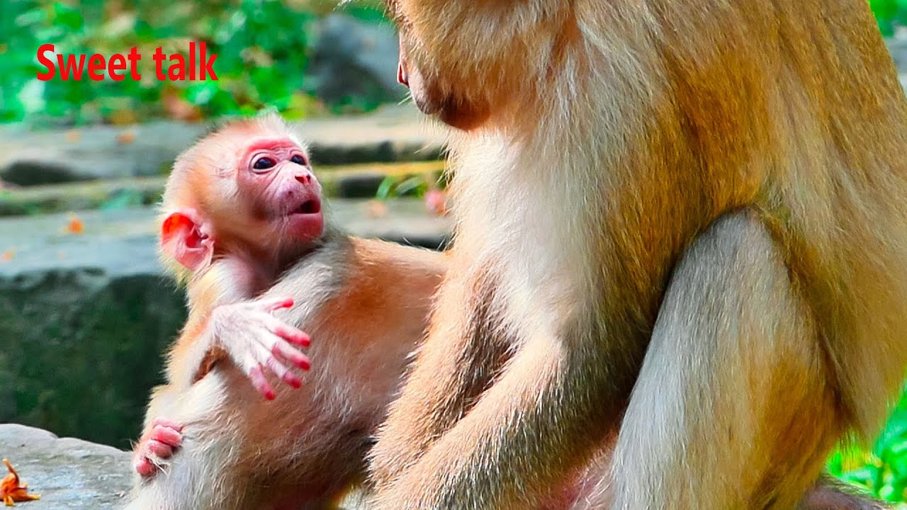 Million Love and sweet action Joyce talk very sweet to baby Jovi so ...