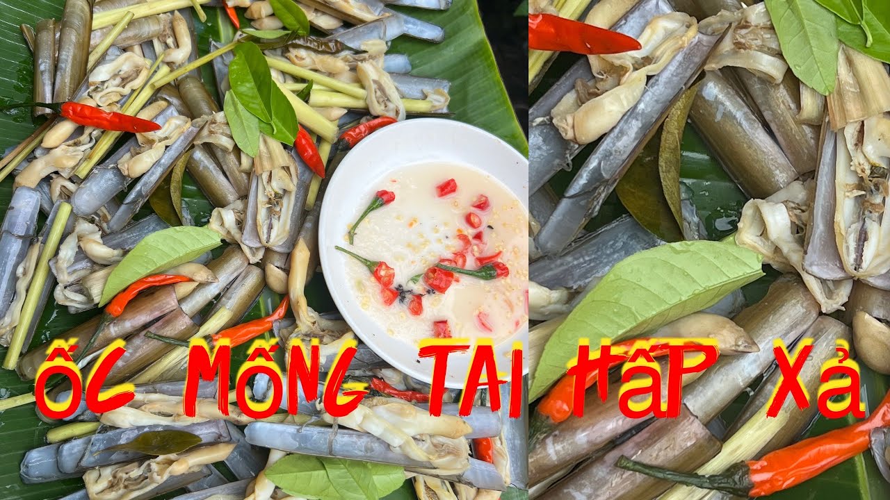 ốc móng tai hấp xả không cần nước thơm ngọt từng con @ huy nguyen ...