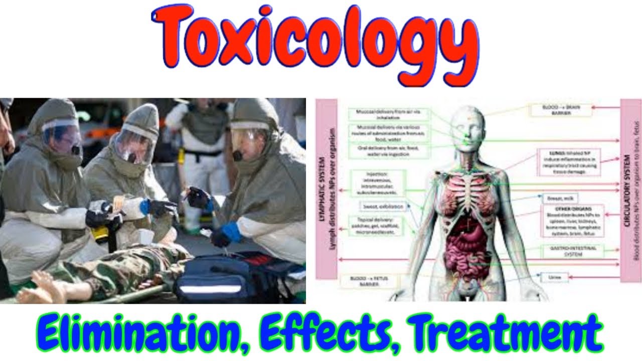 Toxicology - Elimination, effects & treatment / Chemical Process safety ...