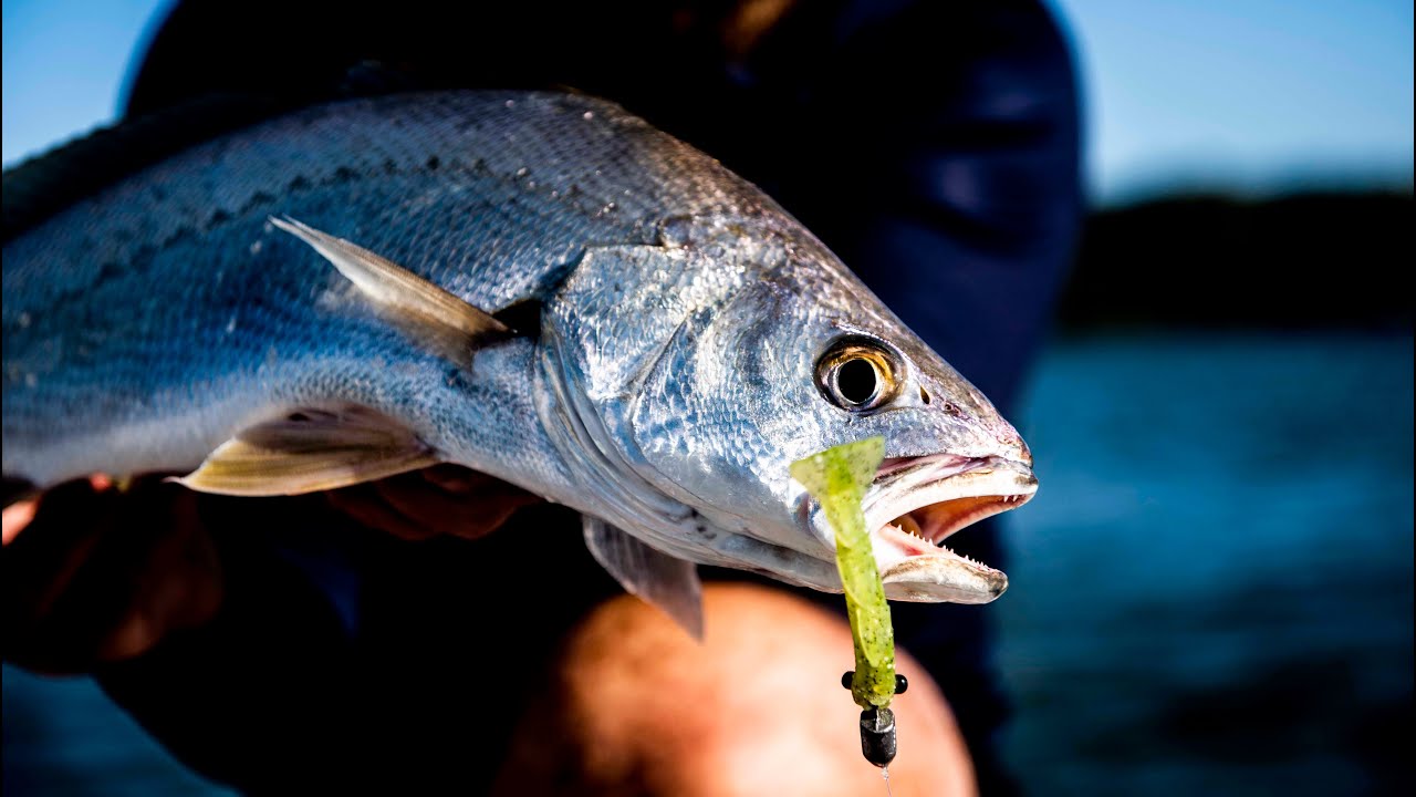"MAD FROFFER" SCHOOLS ME ON NOOSA RIVER - YouTube