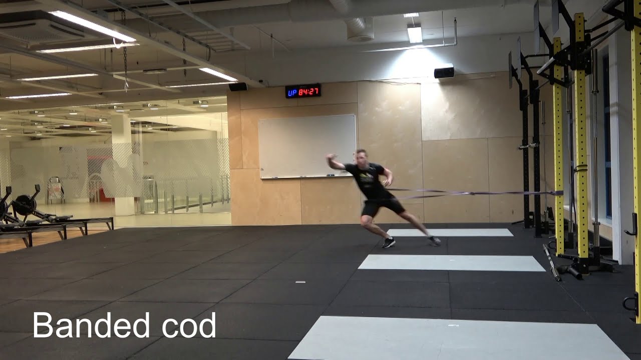 Banded cod - YouTube