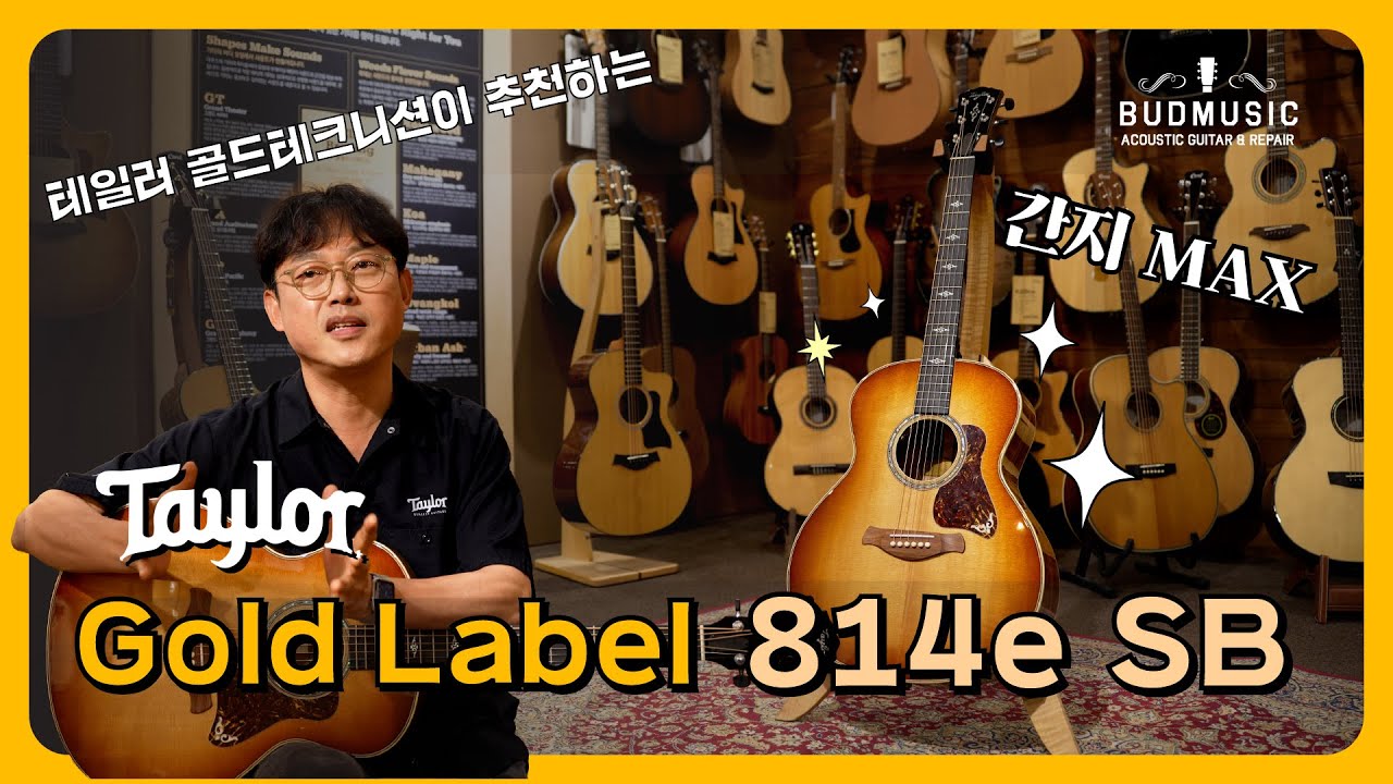 Taylor Gold Label 814e SB - YouTube