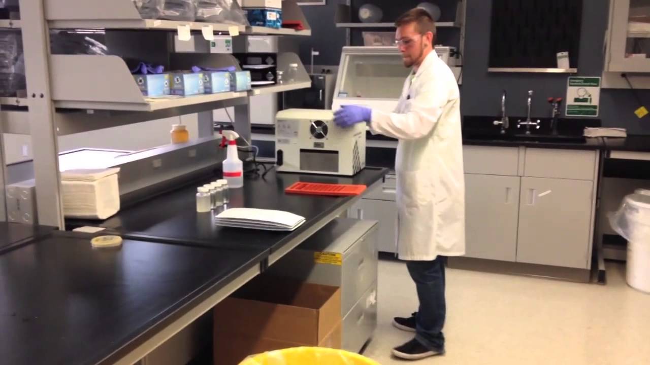 Sewer lab technicians check for E. coli - YouTube