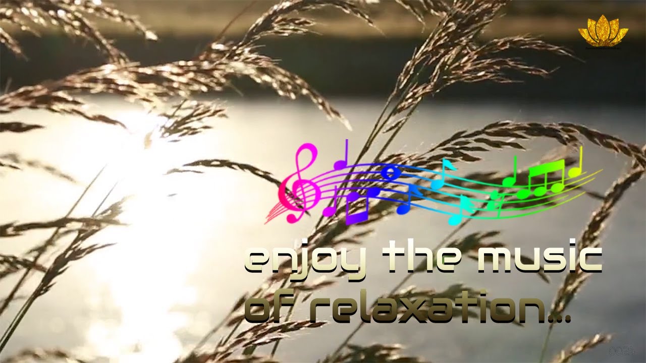 Meditation Dream Soothing Relaxation Piano Body Mind Music - YouTube