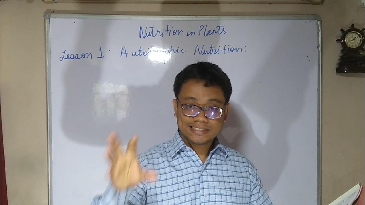 XSEED CLASS 7 BLOCK 1 LESSON 1 2 NUTRITION IN PLANTS YouTube xseed-class-7-block-1-lesson-1-2-nutrition-in-plants-youtube