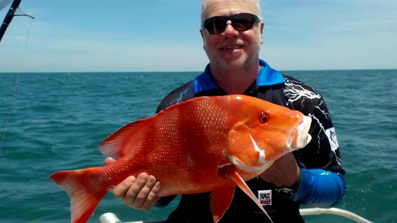 2016 fishing highlights - YouTube