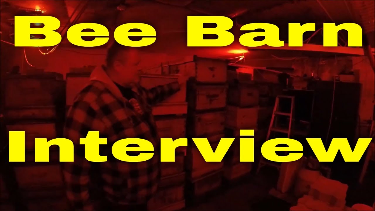 Bee Barn Interview-That Bee Man - YouTube