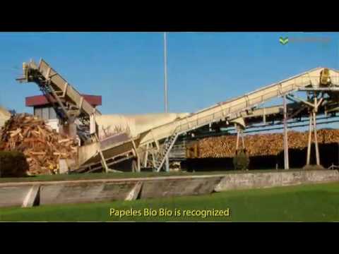 BO PAPER Institutional Video (English) - YouTube