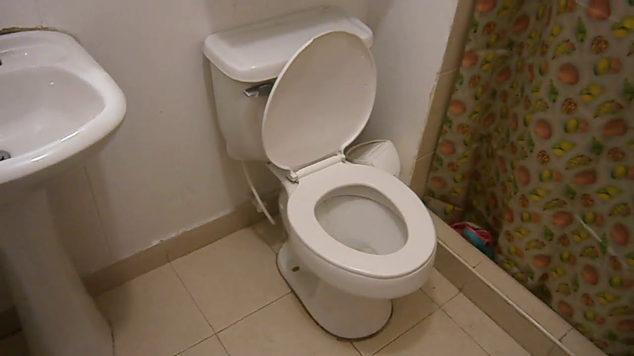 EDESA CAMPEÓN TOILET - YouTube