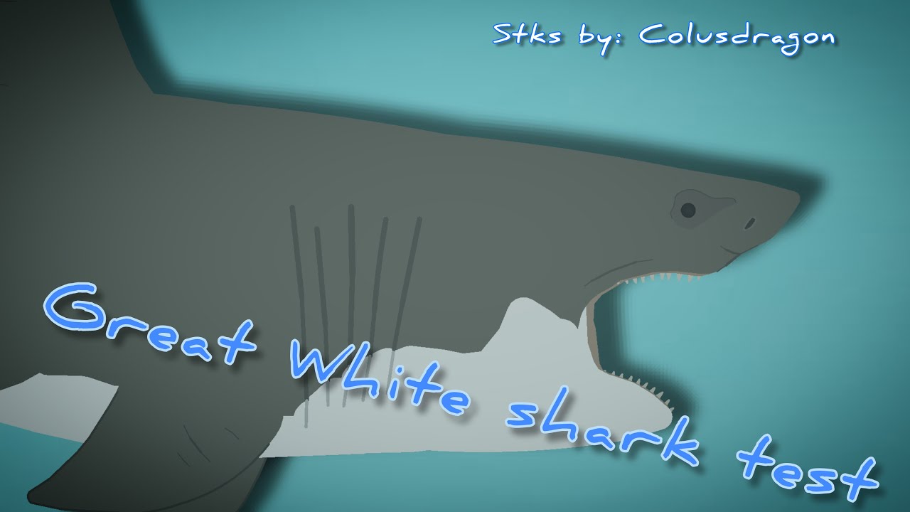 Great white shark test | Stick nodes animation | short video - YouTube