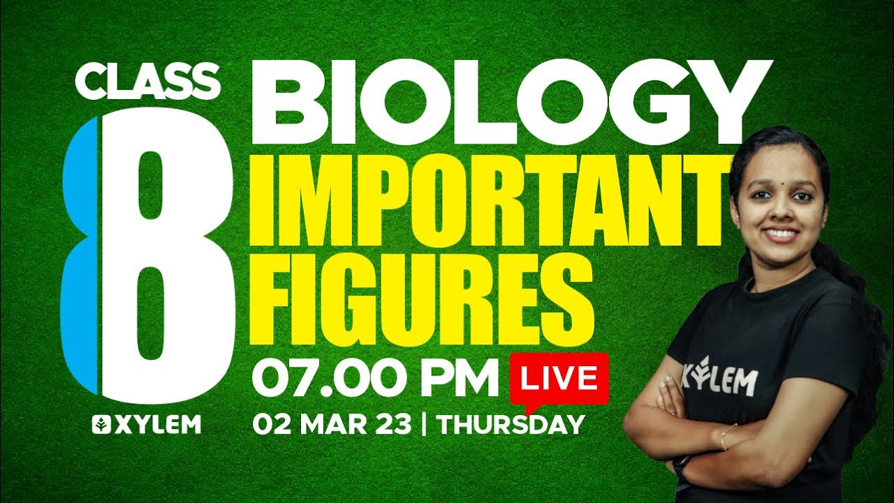Class 8 Biology - Important Figures | Xylem Class 8 - YouTube