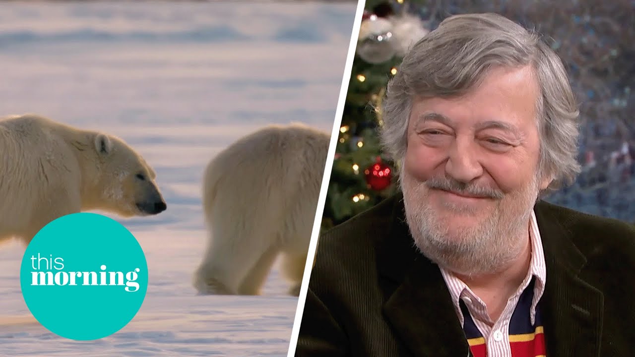 Stephen Fry Explores The Animal Kingdom In New Breathtaking Documentary ...