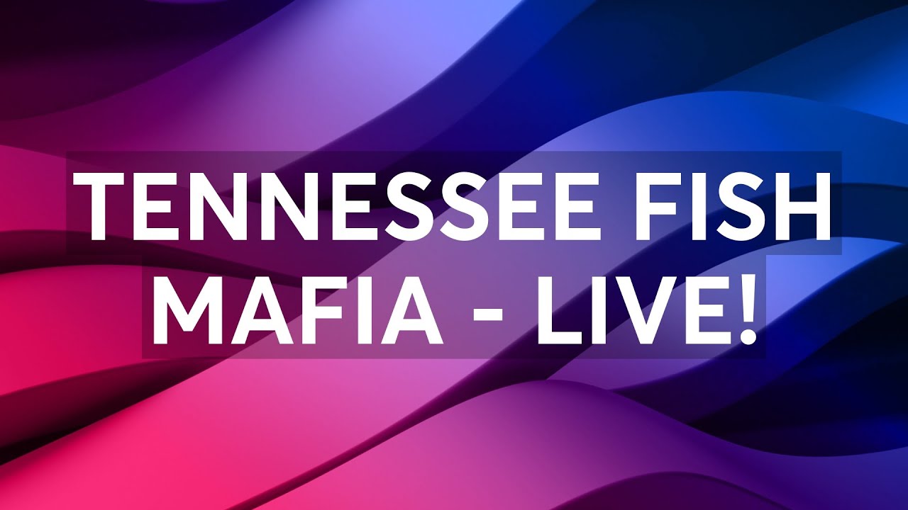 TENNESSEE FISH MAFIA - LIVE! - YouTube