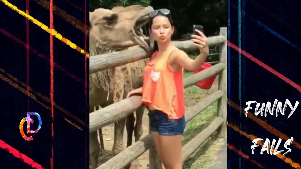 TRY NOT TO LAUGH/ Funny Fails Video 2020 compilation. - YouTube