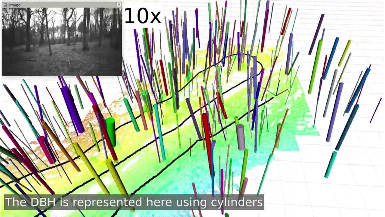 Towards Real-Time Forest Inventory using Handheld LiDAR - YouTube