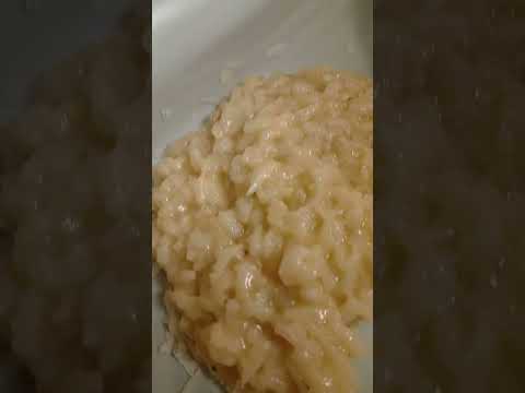 Shef Nesa's Escoffier Braised Chicken Thighs & Risotto - YouTube