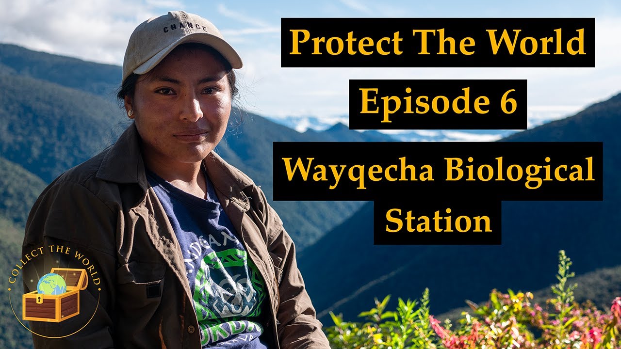 Protect The World: Episode 6 – Wayqecha Biological Station - YouTube