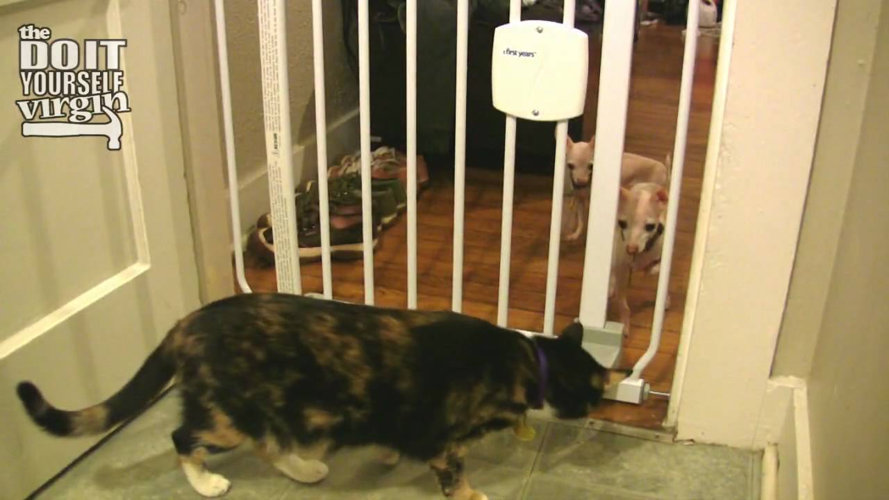 First Years Baby Gate - Video Product Review - YouTube