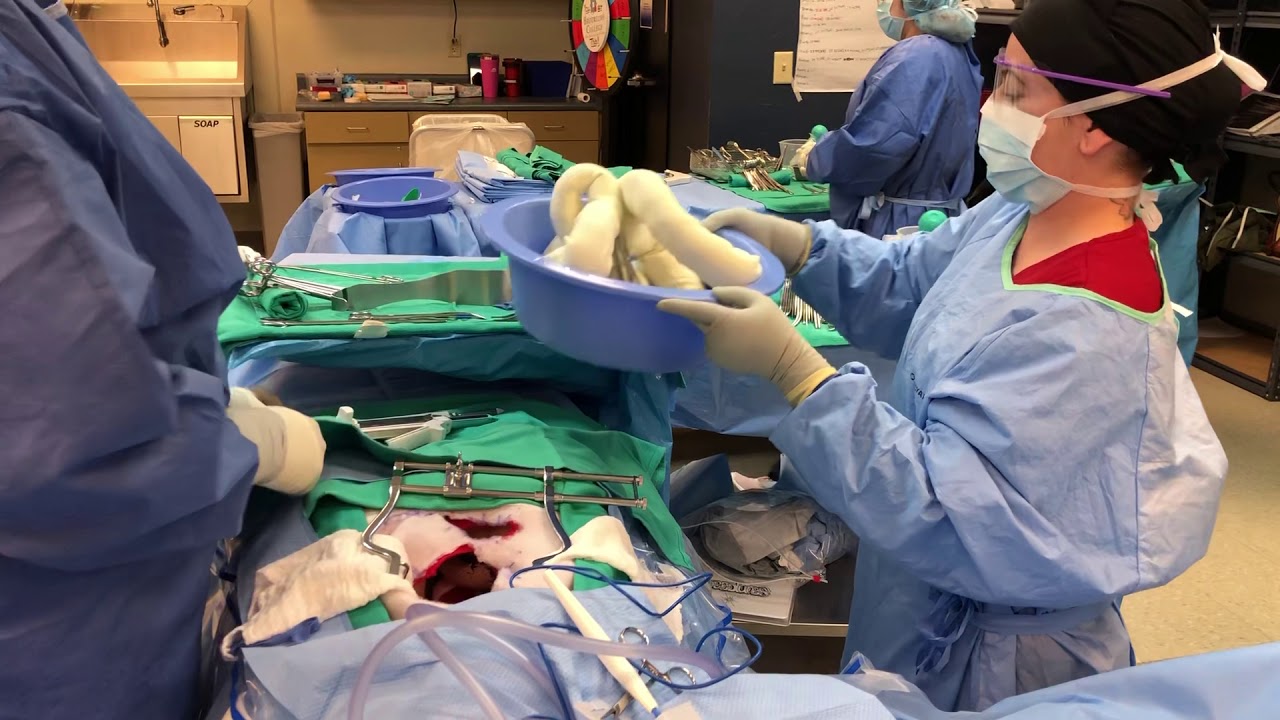 Pull Up - Bowel Resection - YouTube