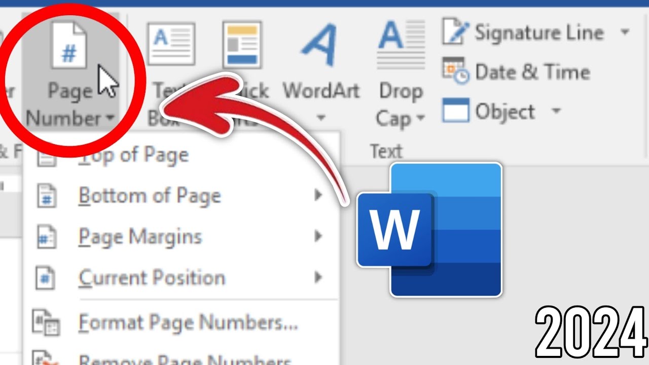 How to Add Page Numbers in MS Word (2024) - YouTube