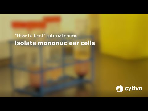 What Is The Purppose Of Ficoll For Cell Isolation
