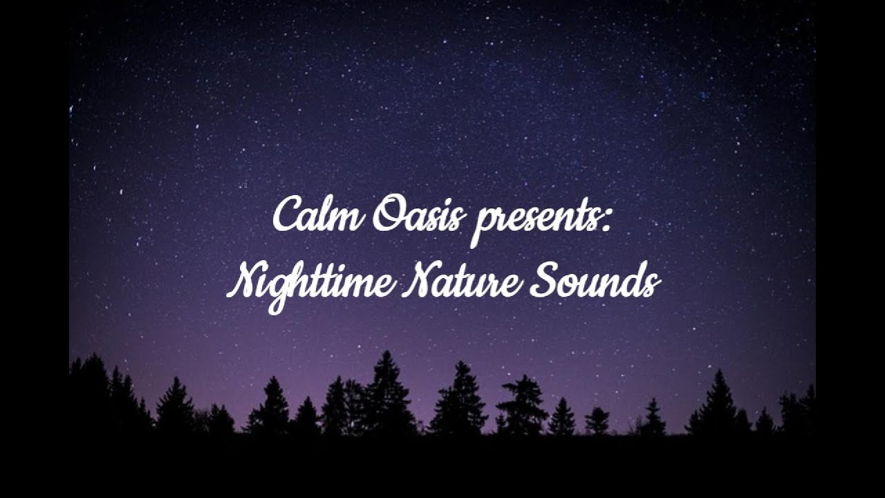 Nighttime Nature | Relaxing Nature Sounds | Sleep | Background Cricket ...