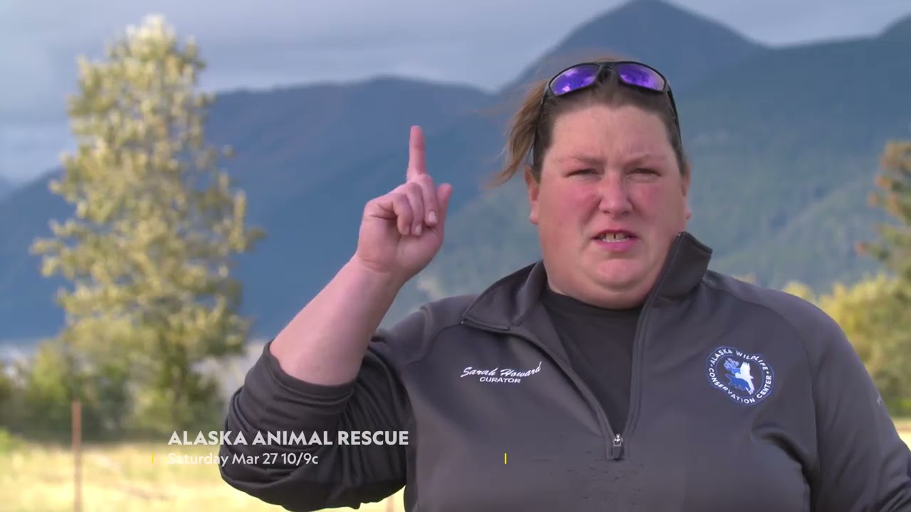 Alaska Animal Rescue returns for Season 2 on Nat Geo Wild! - YouTube