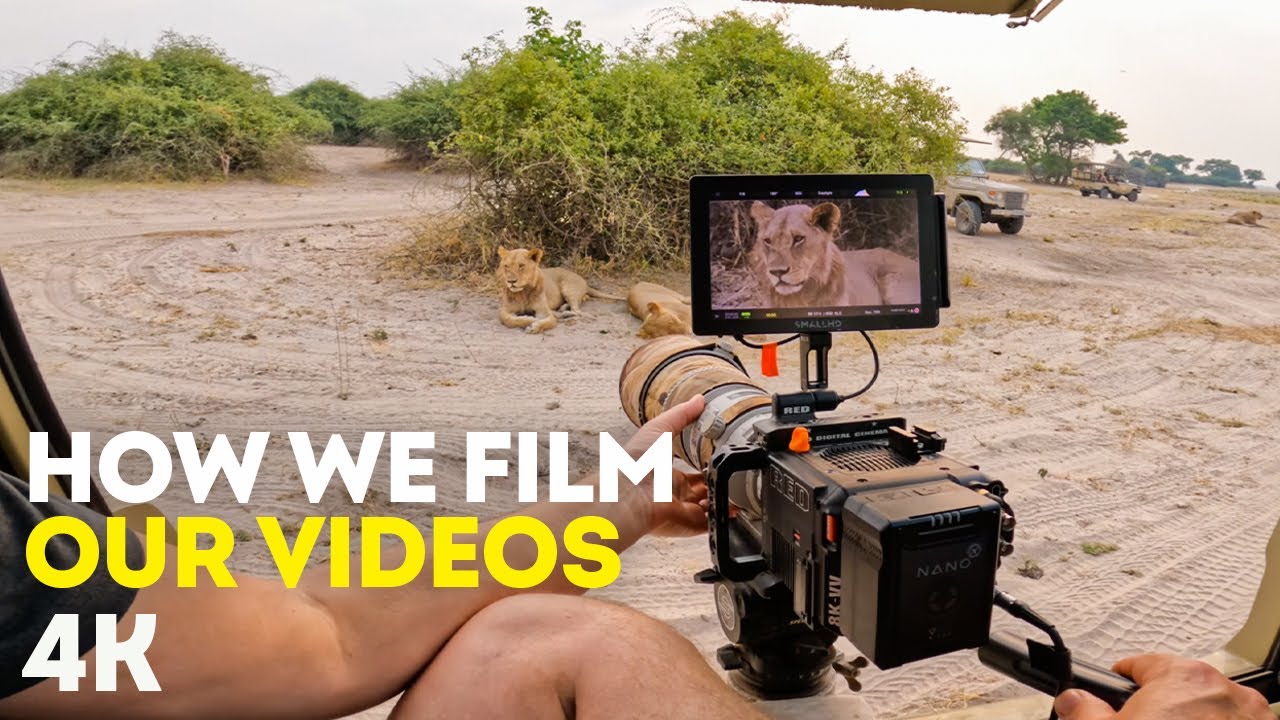 How We Film our Wildlife Videos - 4K Adventurous Backstage in South ...
