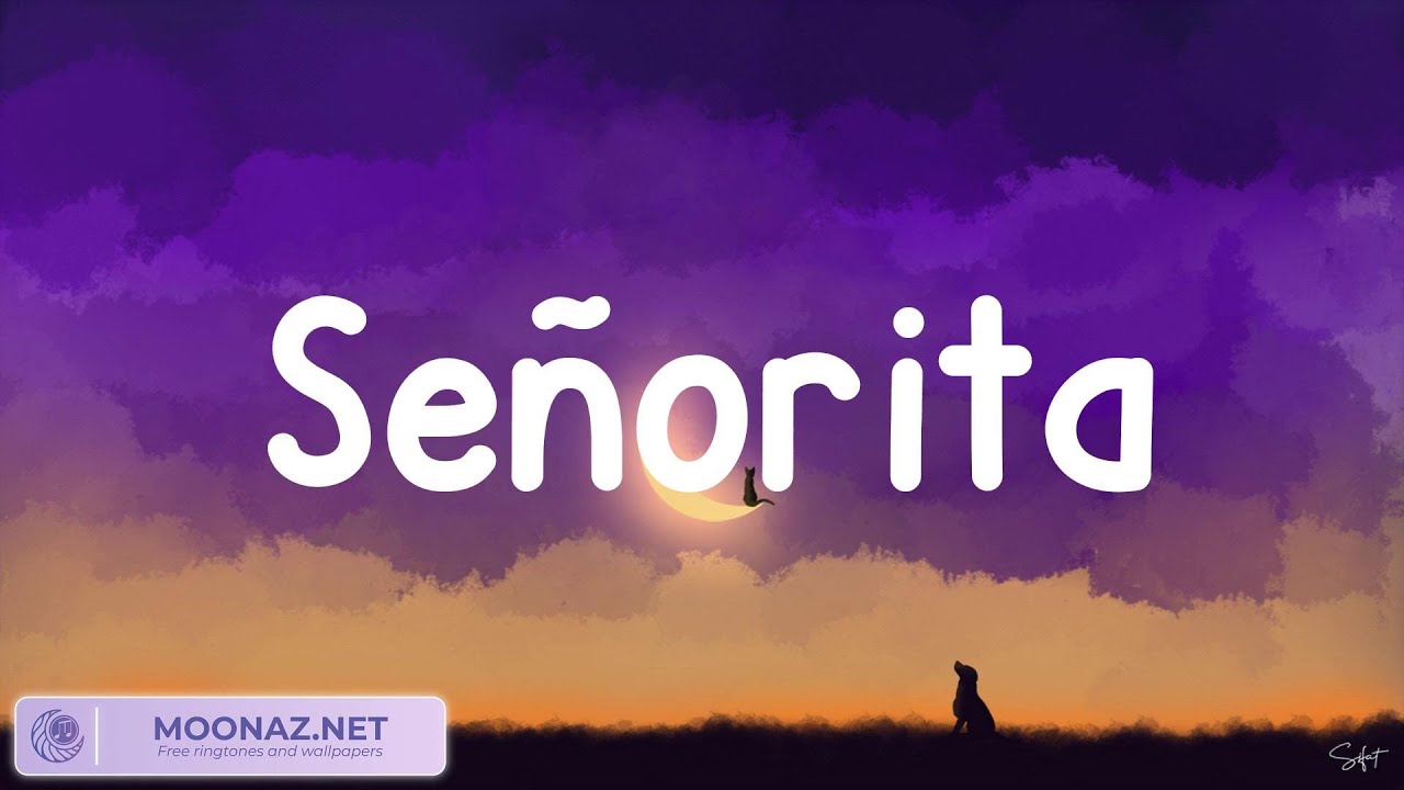 Señorita - Shawn Mendes [Lyrics] | Ed Sheeran, One Direction, Ali Gatie ...