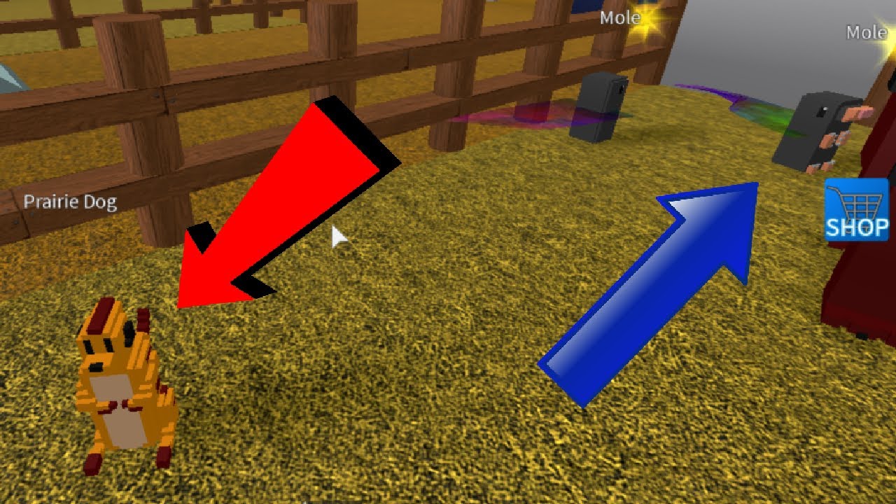 How to get the Prairie Dog and Mole in Creature tycoon w/ thedig - YouTube