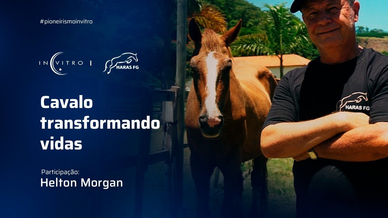 Cavalo transformando vidas | Participação especial de Helton Morgan ...