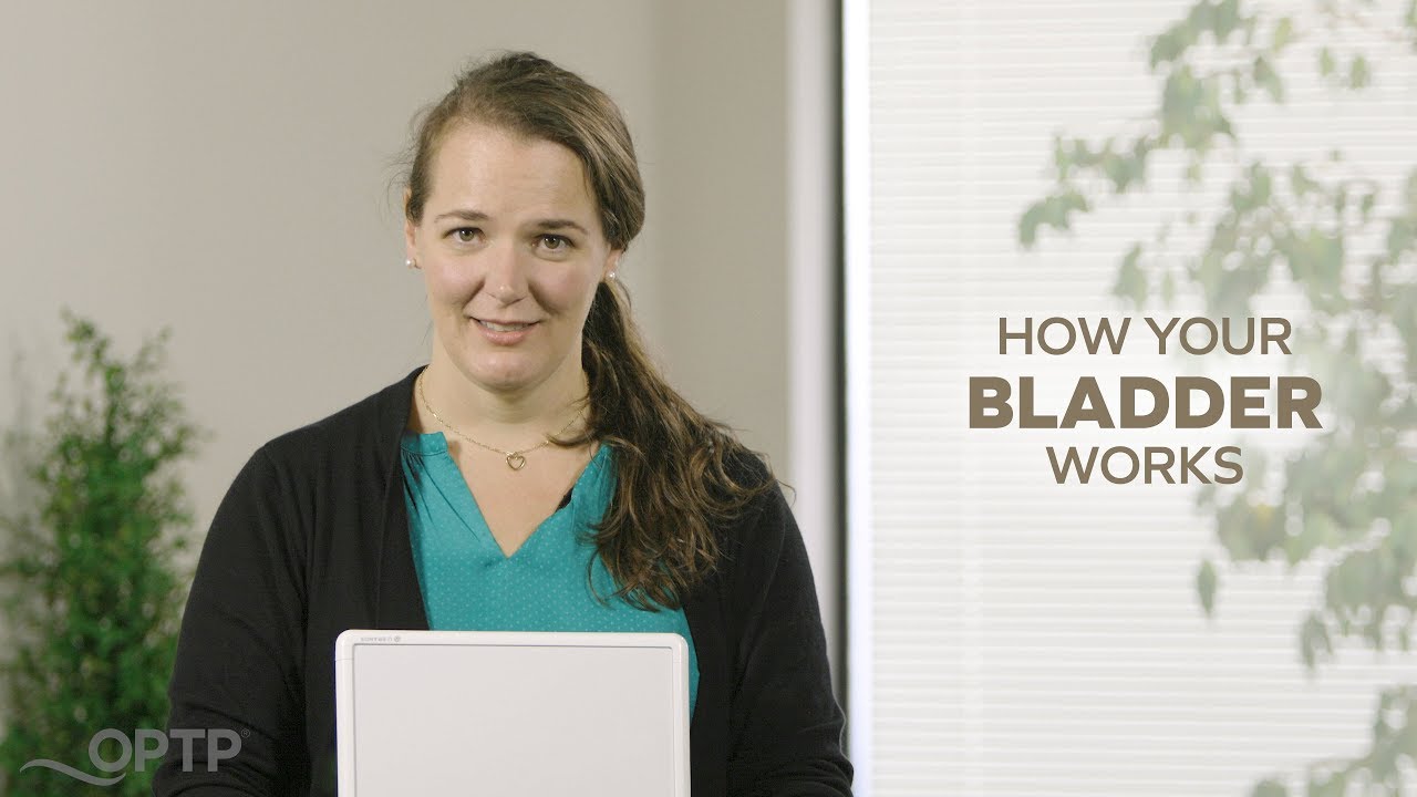 How the Bladder Works - YouTube