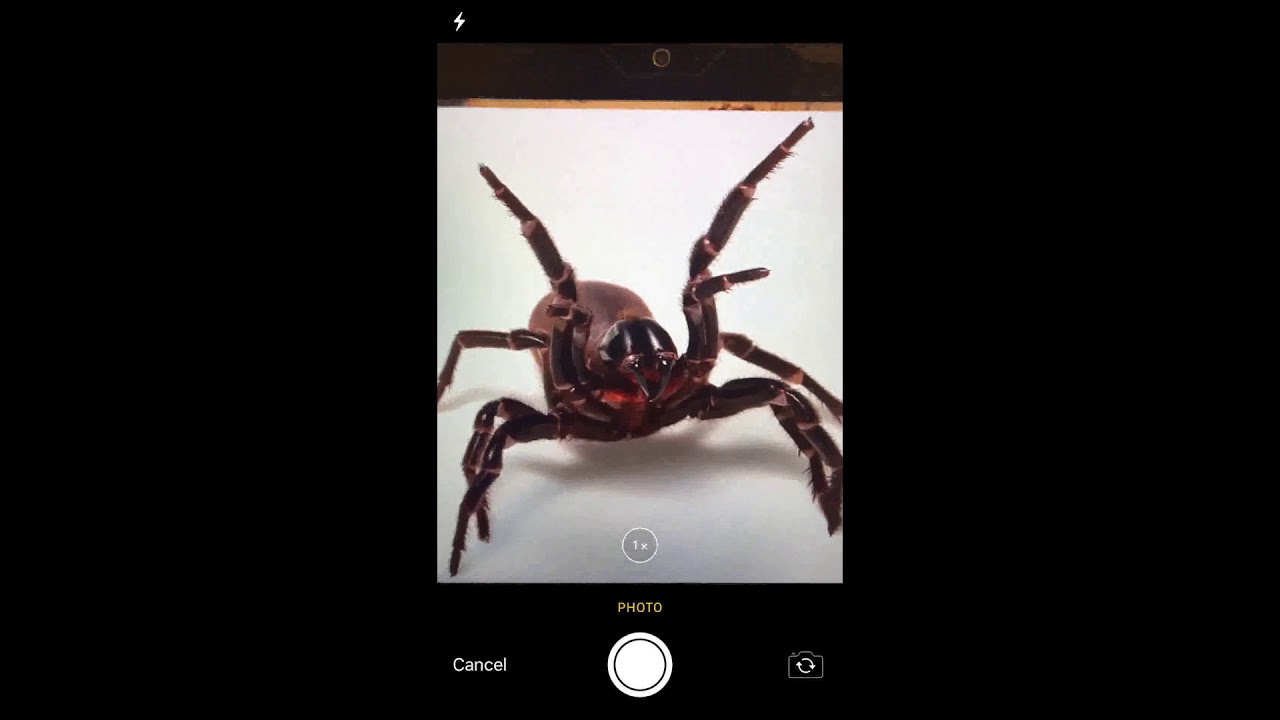 iOS App Demo - YouTube