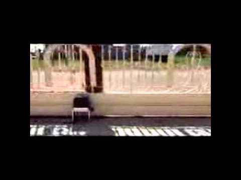 Viper Slide gate opener kit - YouTube