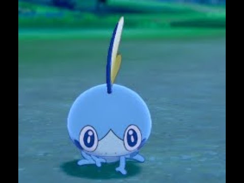 30 seconds of awkwardly watching Sobble walking - YouTube
