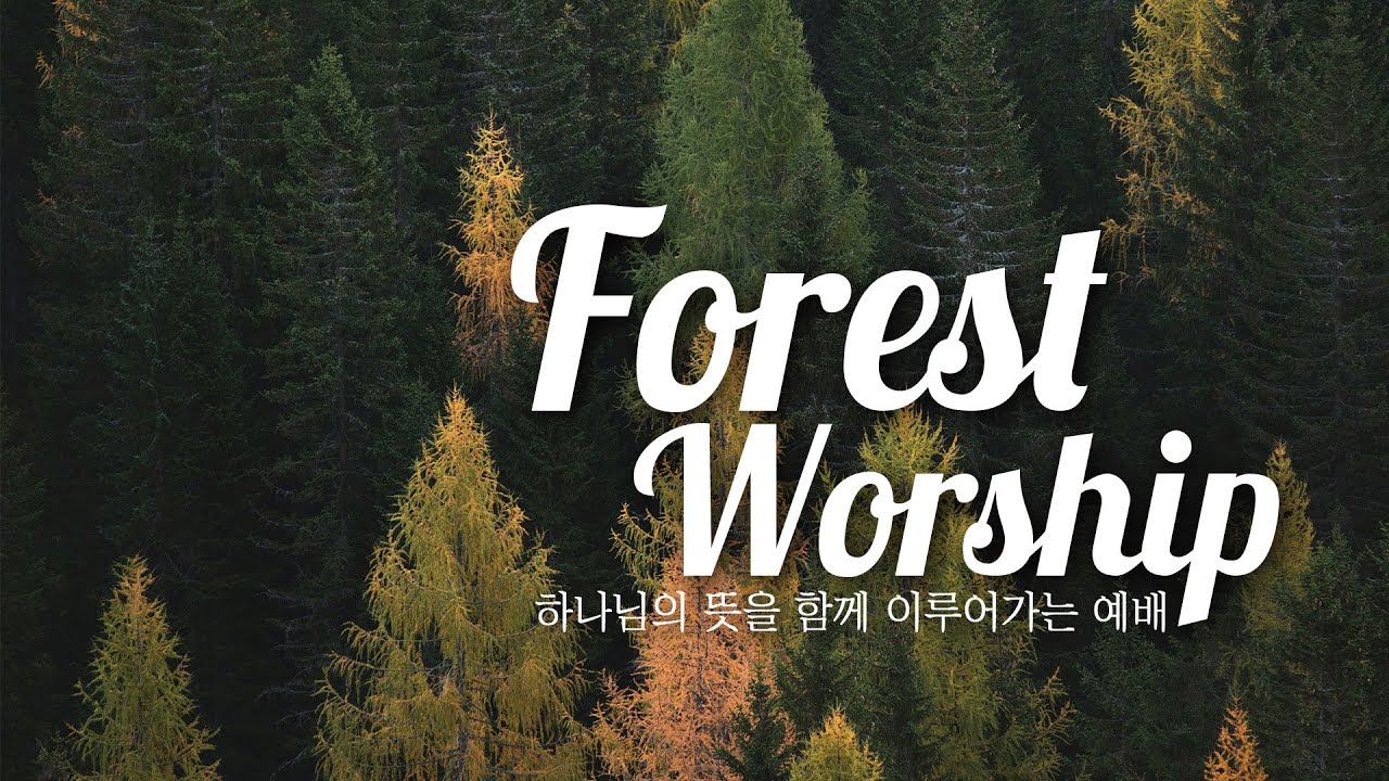 2024년 6월 21일 Forest Worship LIVE - YouTube