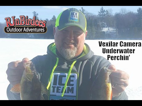 Vexilar Camera - Underwater Perch - YouTube