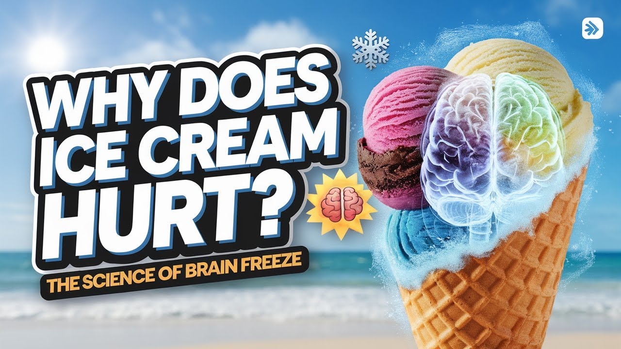 Why Does Ice Cream Give You a Headache ? The Science of BRAIN FREEZE ...