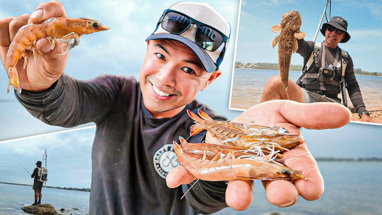 "Swan River Fishing: Epic Flathead & Prawn Catch and Cook in Perth ...