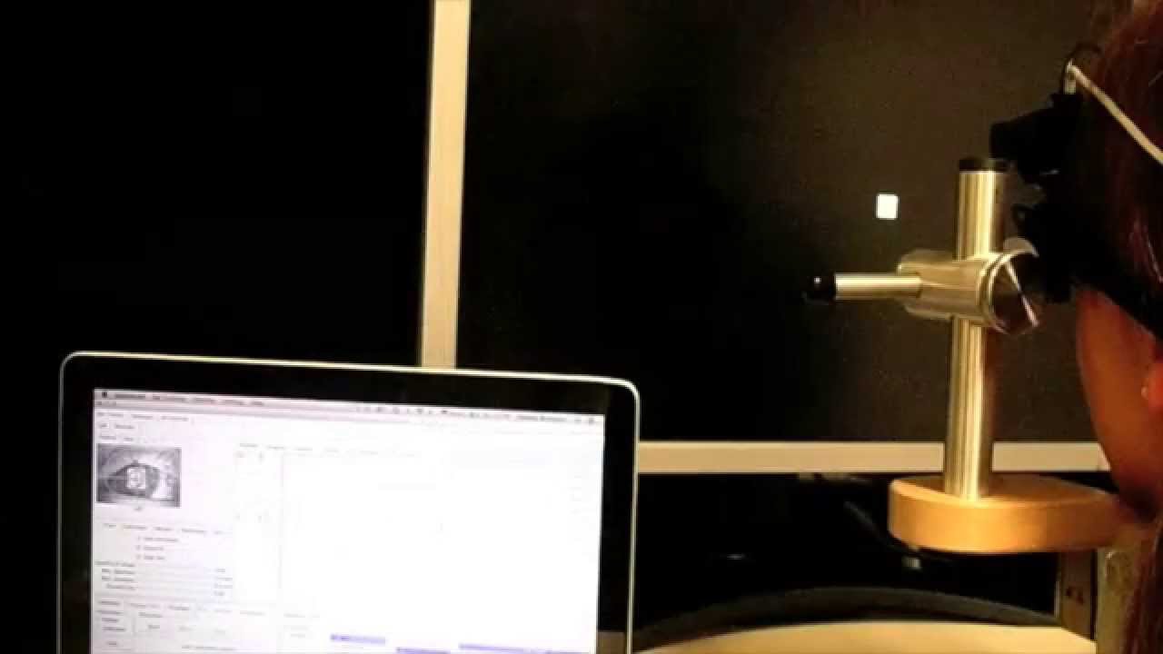 EyeSeeCam Examination - YouTube