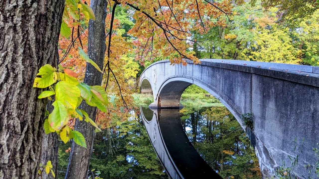 Discovering Massachusetts - Into the Woods (12) - YouTube