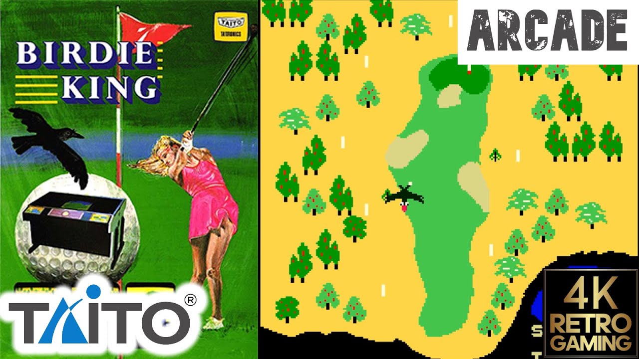 Birdie King Arcade ( Taito 1982 ) 4k Gameplay - YouTube