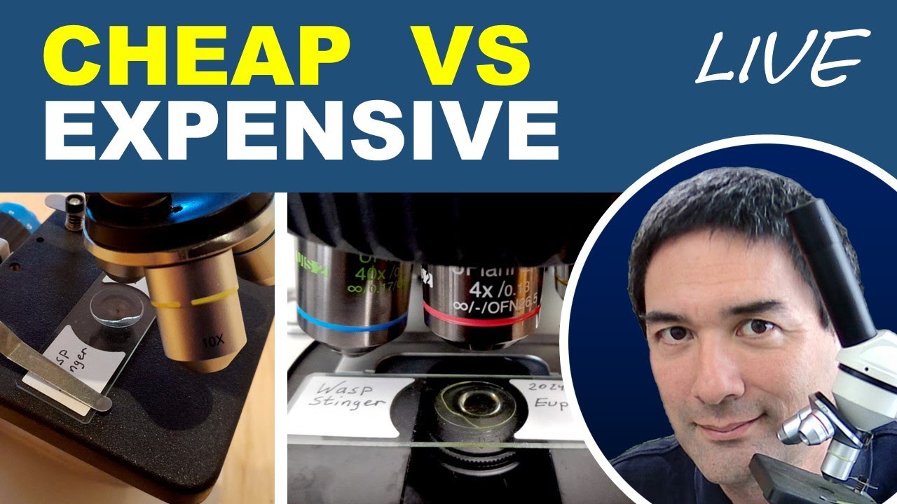 How good are cheap microscopes? - YouTube