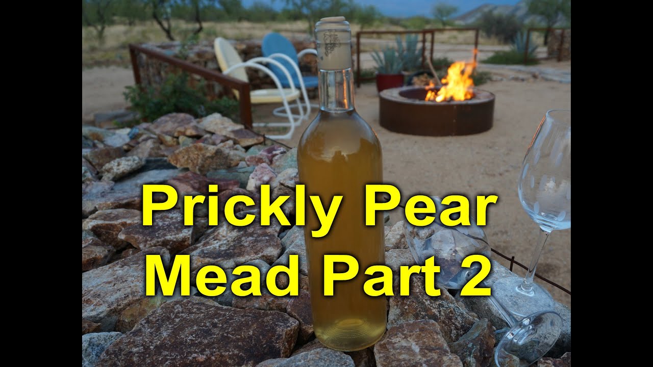 Prickly Pear Mead Part 2: Bottling, Sweetening, Tasting - YouTube