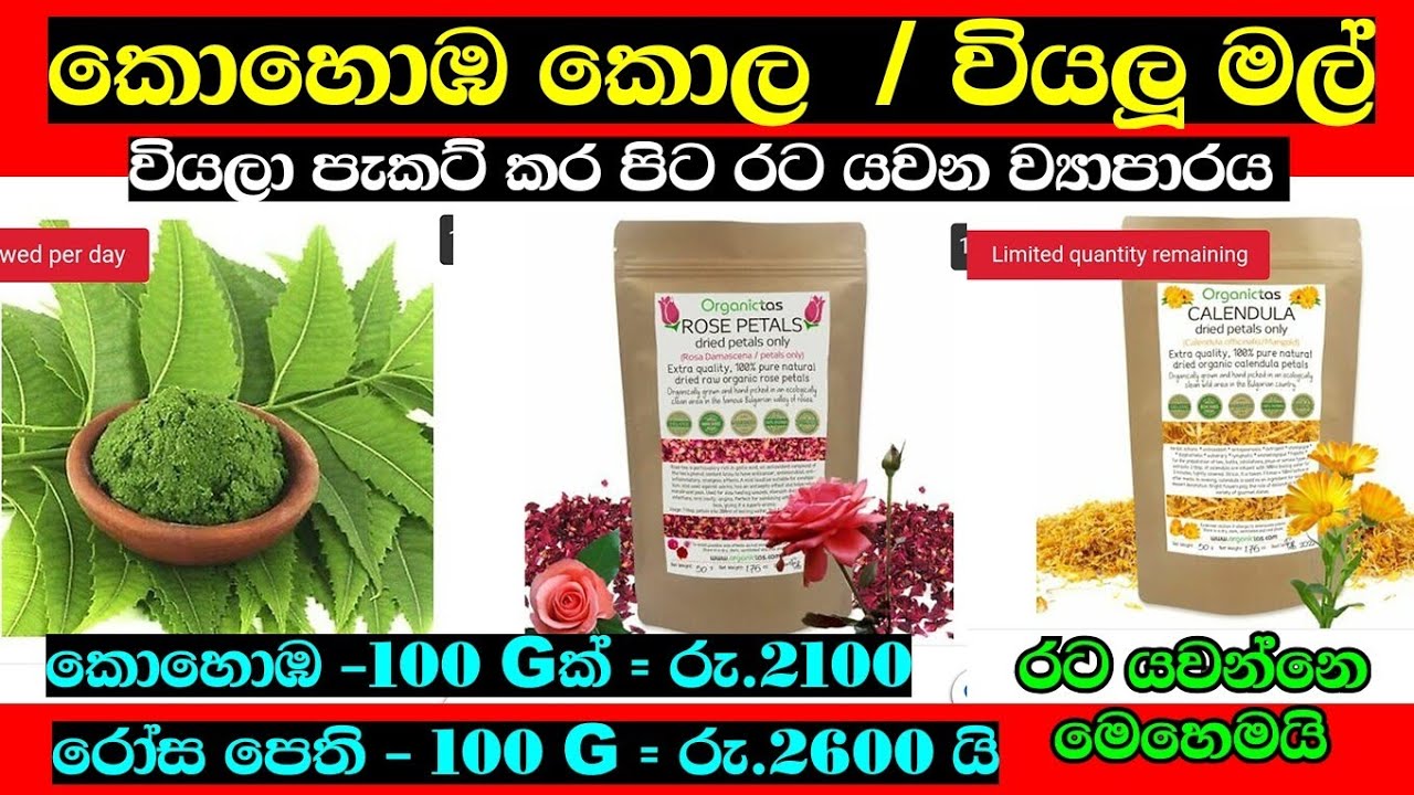 #Neem powder #Neem leaves #Business ideas sinhala කොහෙොඹ කොල රට යැවීමෙි ...