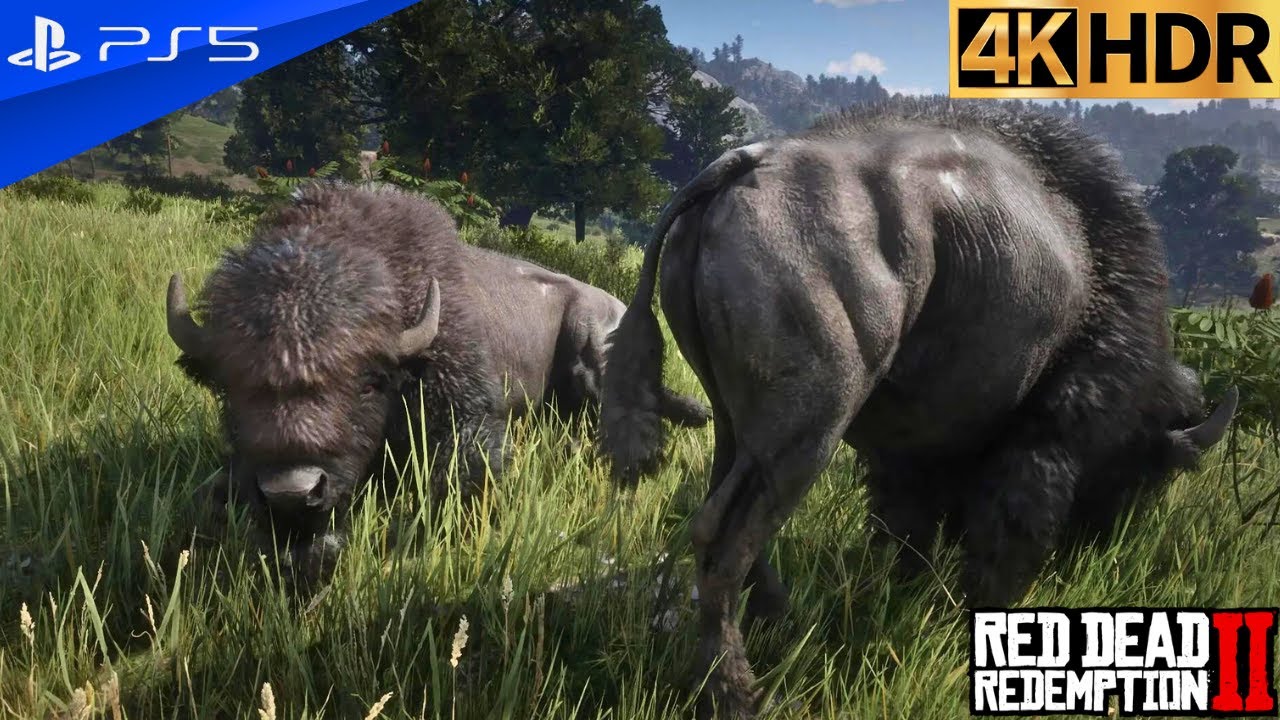 What happens if you mess with BISON in Red Dead Redemption 2 | 4K HDR ...