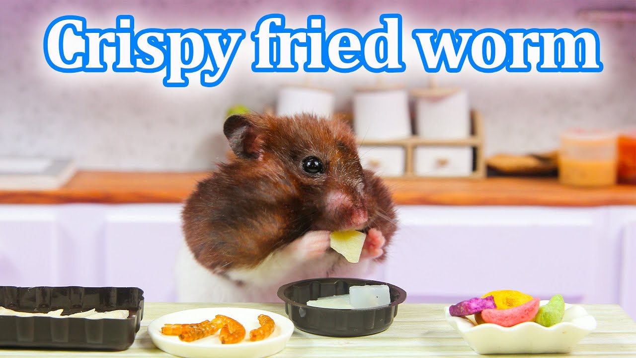 Fried Hamsters