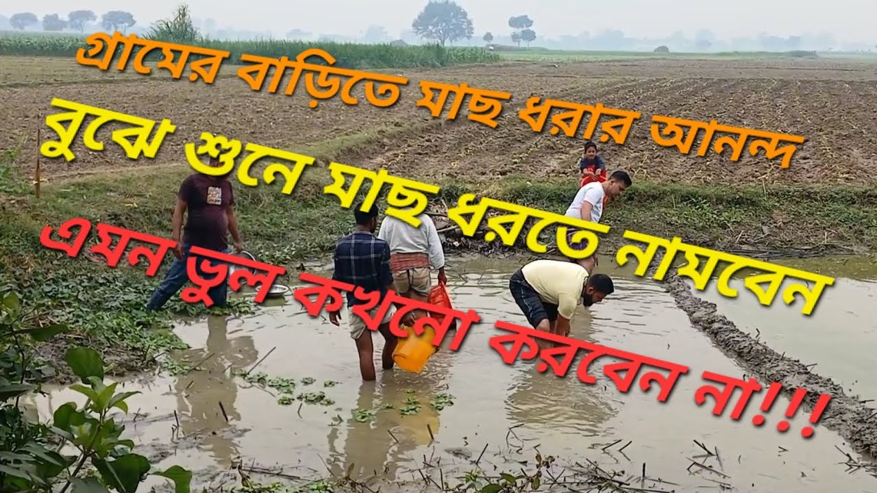 Fish catching BD😱 Catching fish in mud🔸 Fish catching videos Fish ...